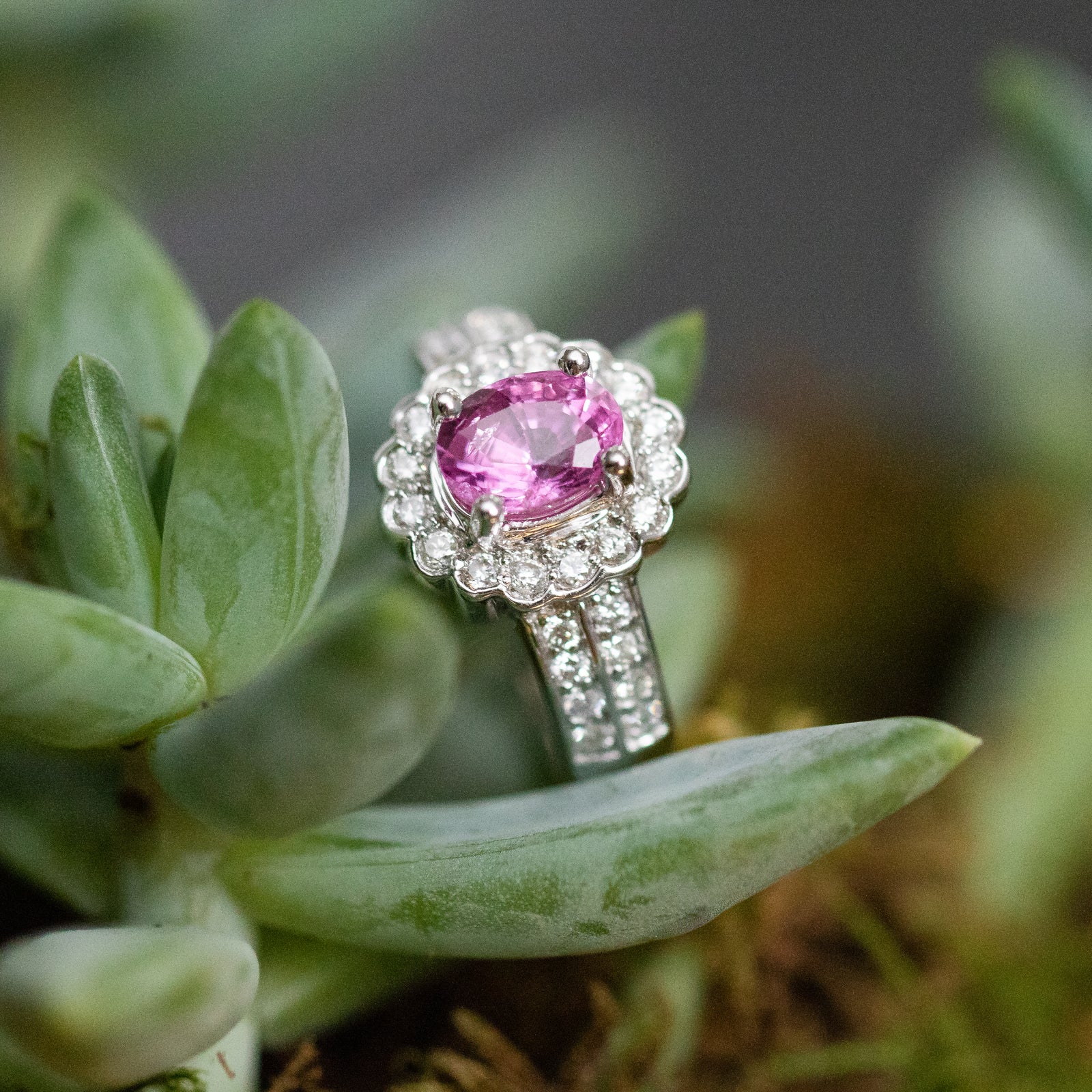 Our Favorite Non-Diamond Engagement Rings | Schwarzschild Jewelers